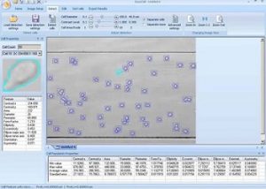 DucoCell – Cell Analysis Software – IDA Yasam Teknolojileri