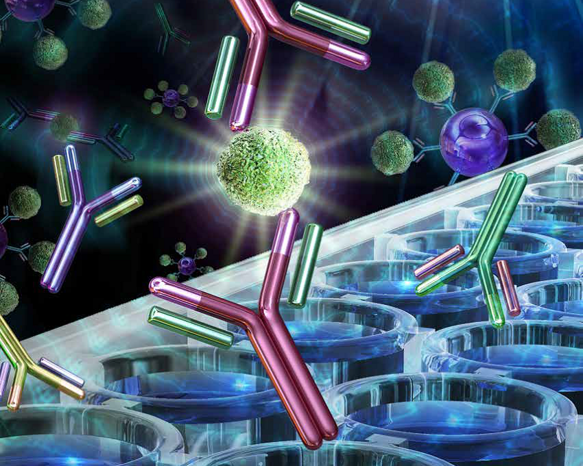 Multiplex Assays ‐ LEGENDplex™ – IDA Yasam Teknolojileri